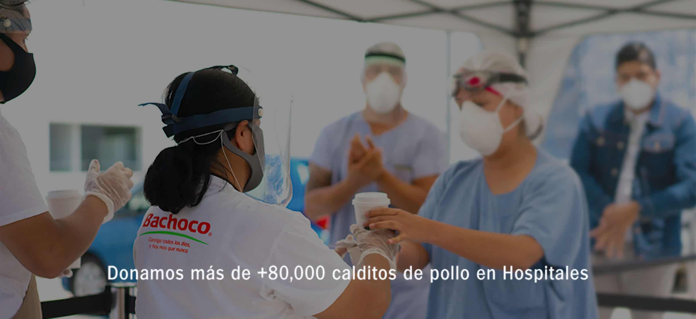 Chicken broth - Bachoco Corporate