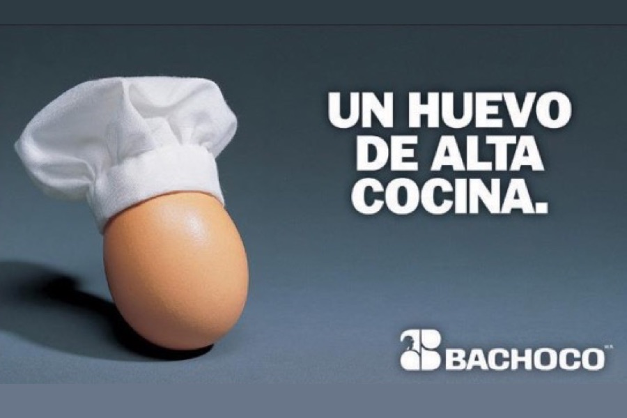 Our history - Bachoco Corporate