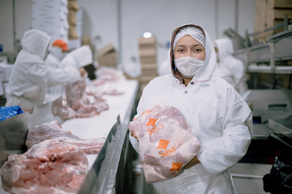 Our history - Bachoco Corporate