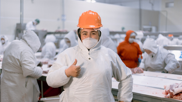 Our company - Bachoco Corporate