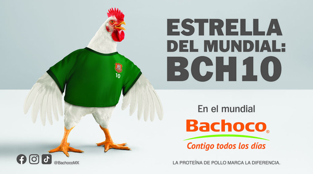 The world cup has arrived - Bachoco Corporate